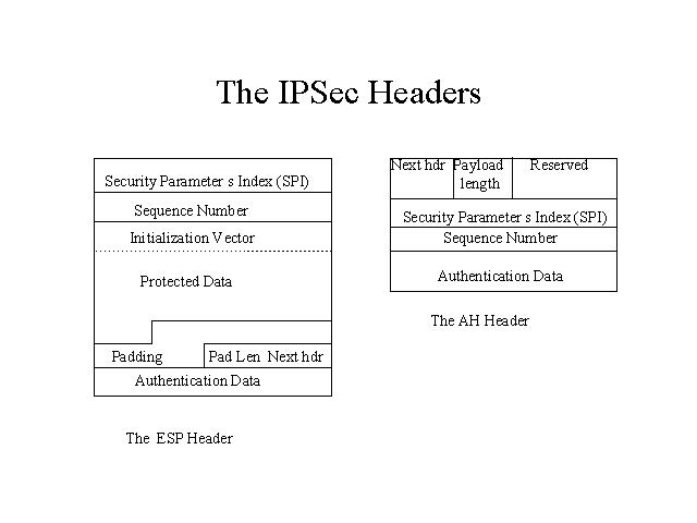 The IPSec Headers